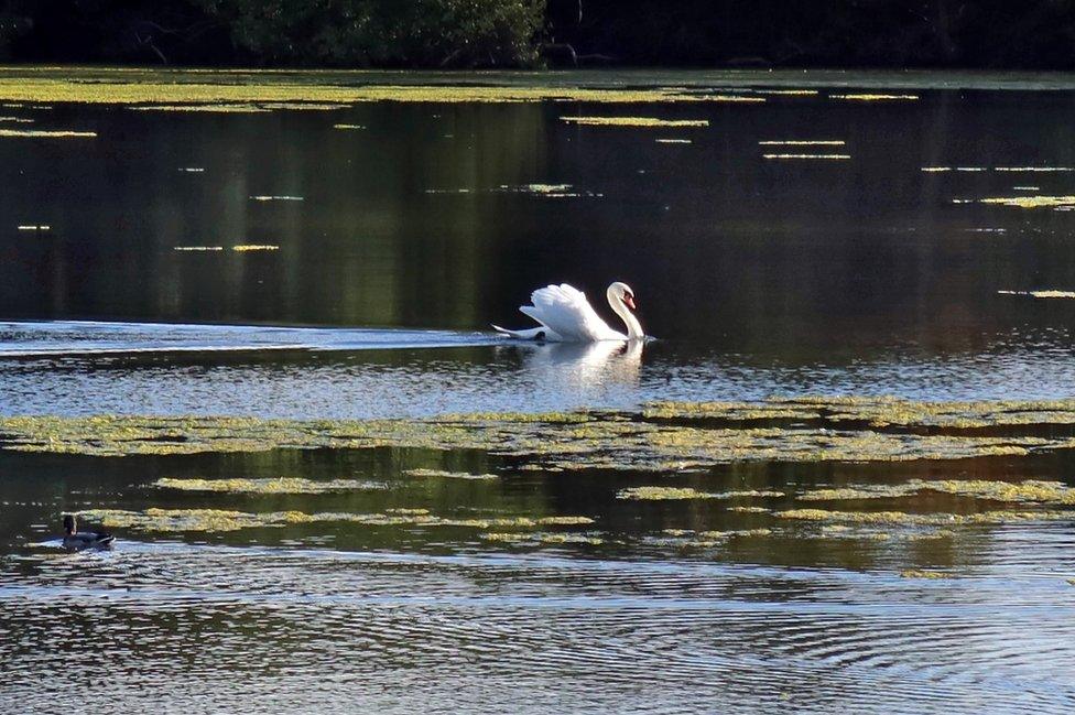 England's Big Picture: 3 October - 9 October 2022 - BBC News