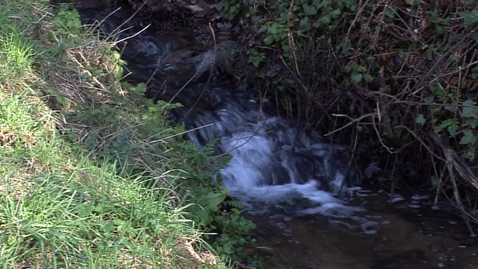 Jersey fungus killer levels could rise in drinking water - BBC News