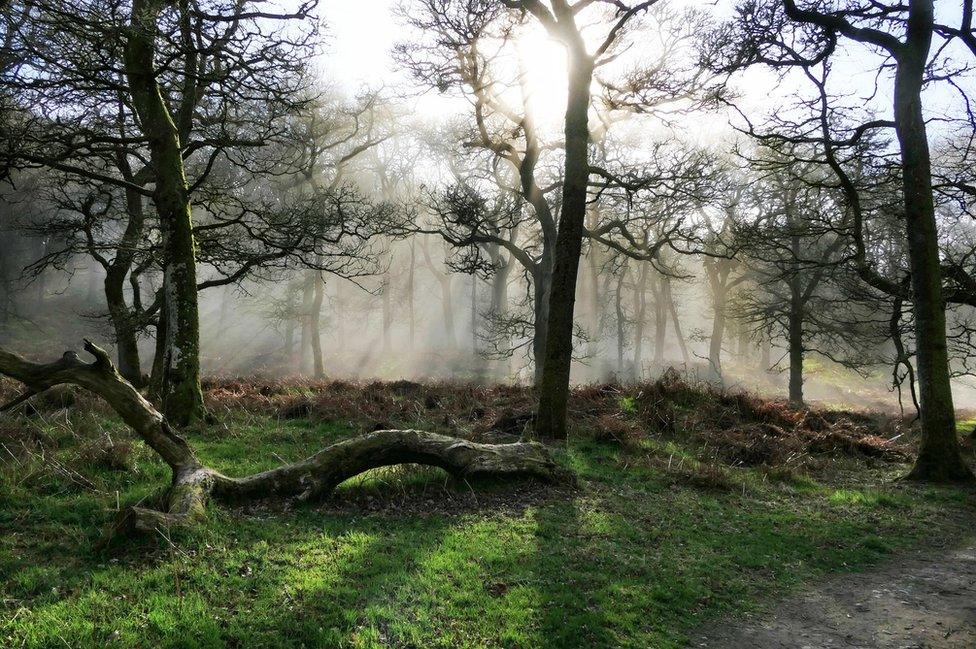 Your pictures of Scotland: 29 March - 5 April - BBC News