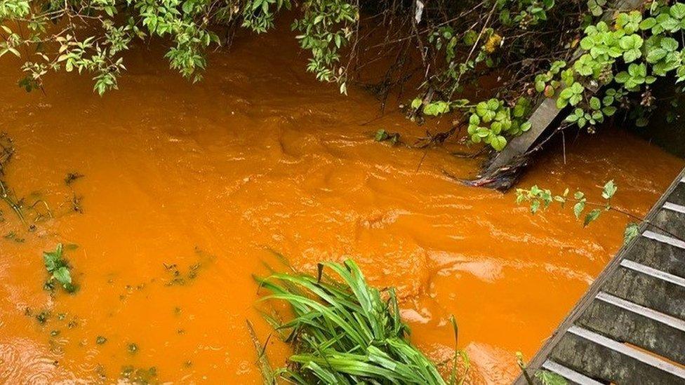 River Trent turns orange and blue after clothing dyes released - BBC News