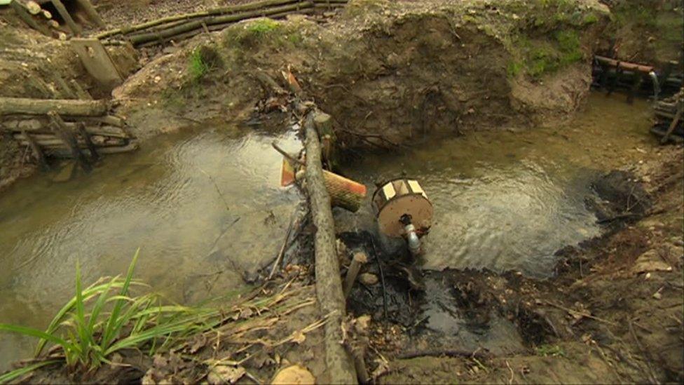 Man told to leave self-built mud hut in London woodland - BBC News