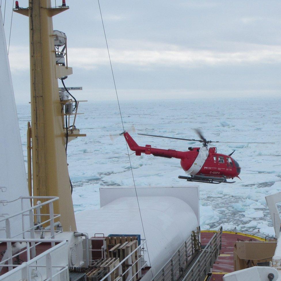 Sergey Ananov: Two days on ice with three polar bears - BBC News