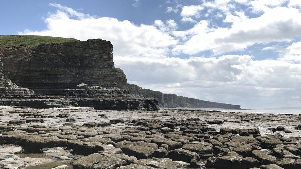 Your Pictures: 17 - 23 May 2017 - BBC News