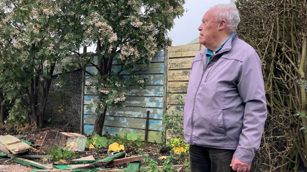 Darnall allotment plot holders 'treated like dirt' in closure row - BBC ...