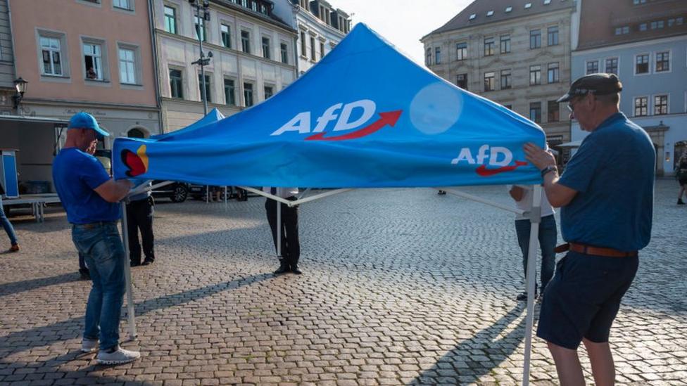 AfD: Germans float ban on elected far-right party after scandal - BBC News