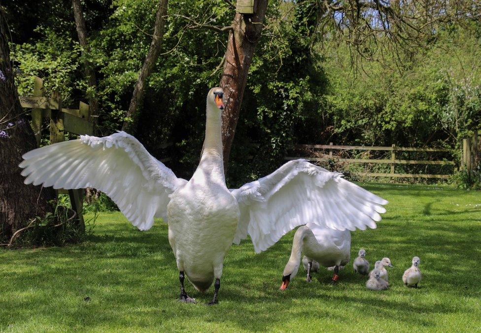 England's Big Picture: 8 - 14 May - BBC News