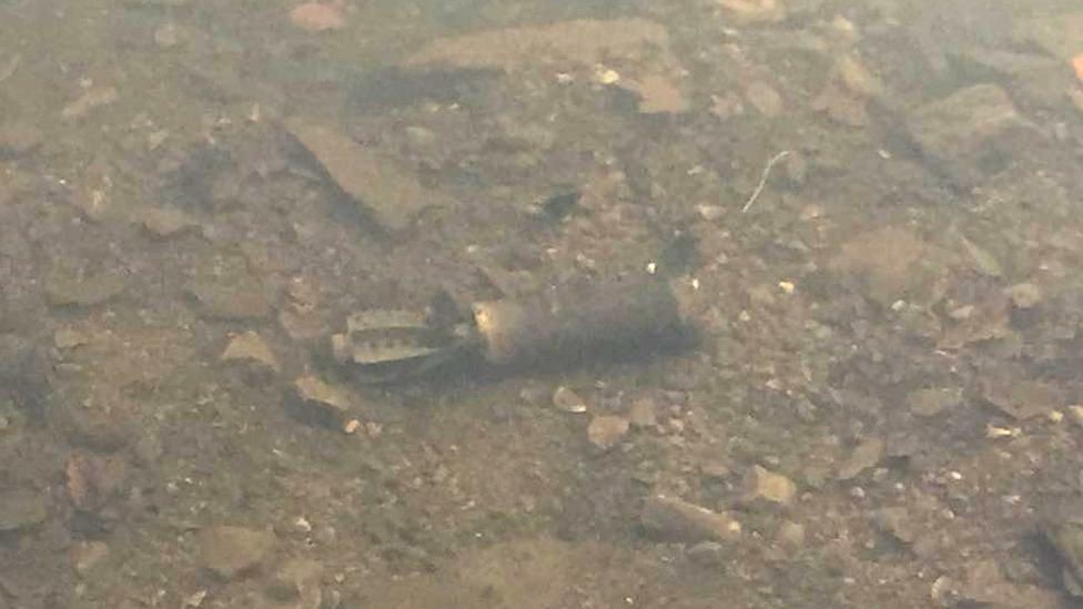 Unexploded WW2 mortar discovered in Somerset pond - BBC News