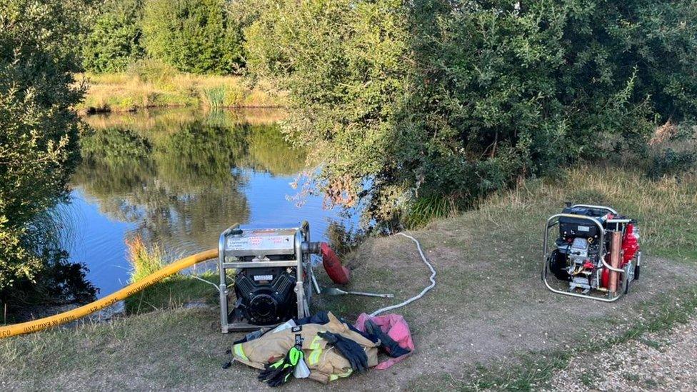 Bourne Valley nature reserve heath destroyed by 'deliberate' fire - BBC ...
