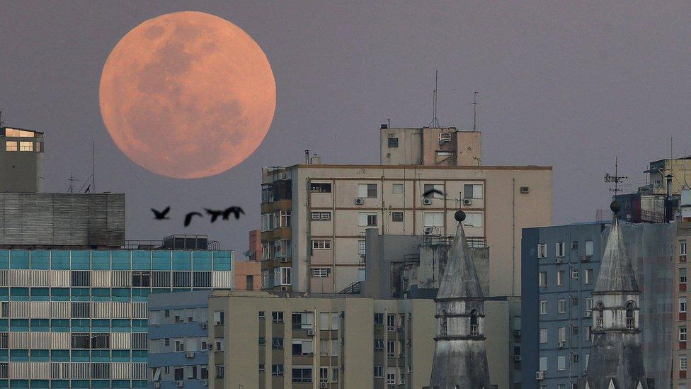 Blue Moon 2023: Pics of the super Blue Moon from around the world - BBC ...