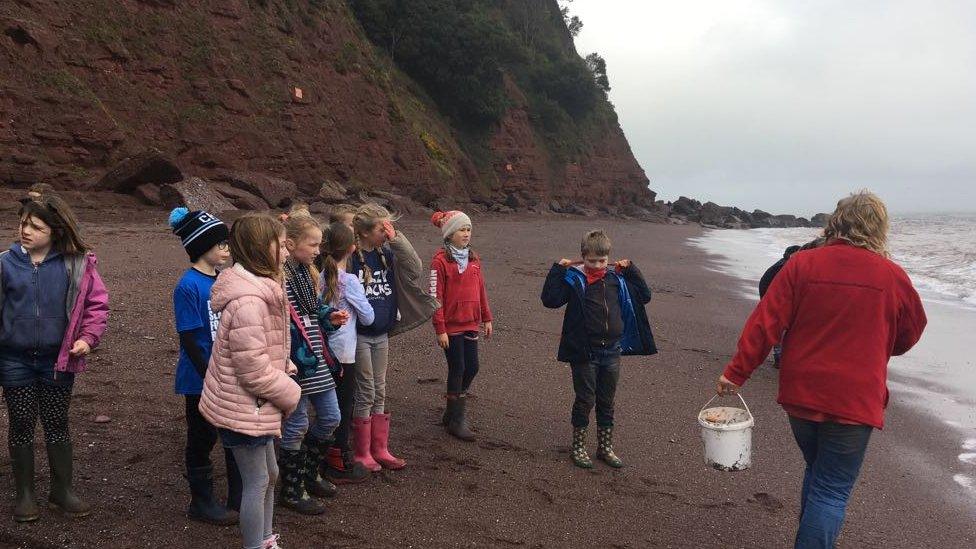 Shoreline lessons - how beach trips boost learning - BBC News
