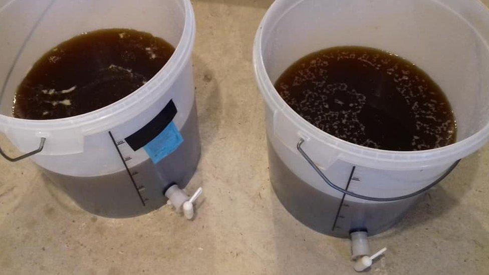 Return of the drink loved by Vikings and ancient Celts - BBC News