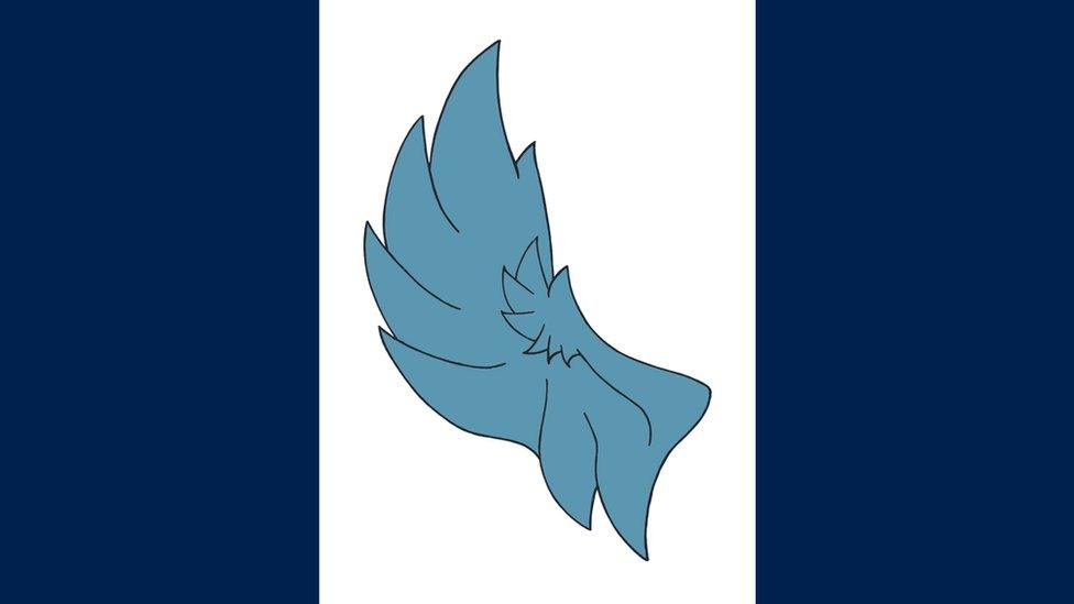 Public vote opens on a flag for Isle of Skye - BBC News