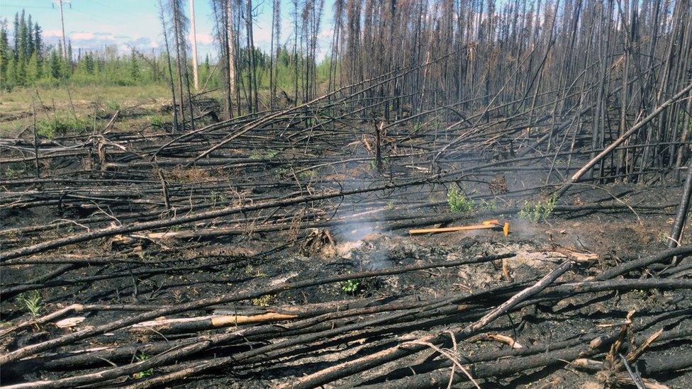 What are 'zombie fires' and why is the Arctic Circle on fire? - BBC ...