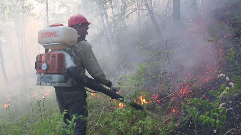 'Siberia is burning': Artists raise awareness of Russia wildfires - BBC ...