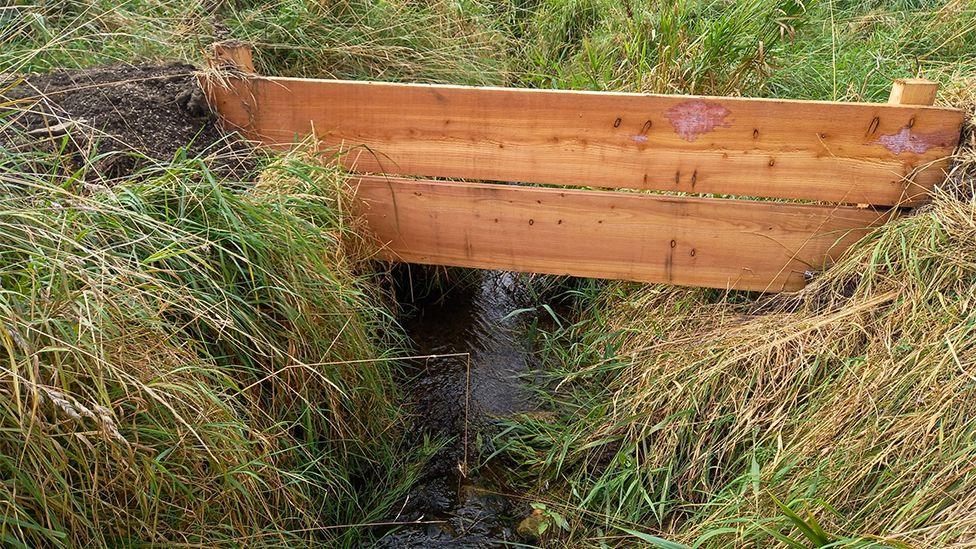 Can 'natural' flood defences in Clitheroe help protect homes? - BBC News