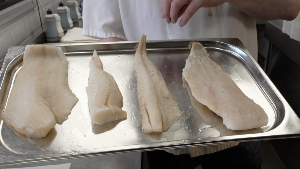 Chip shops sell cheap catfish as 'traditional fish and chips' - BBC News