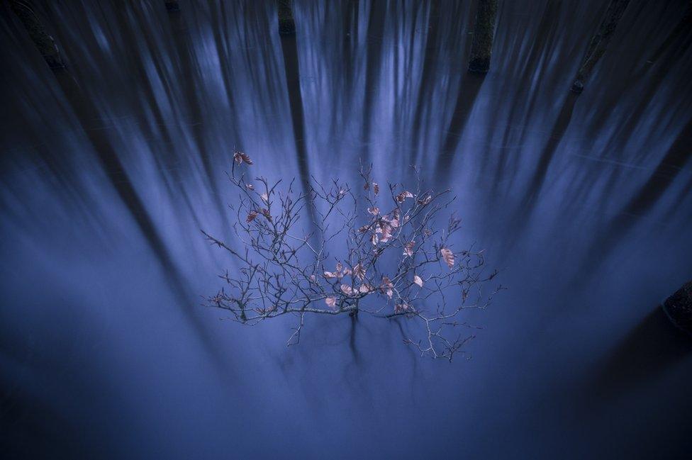 Raw nature in all its beauty - BBC News