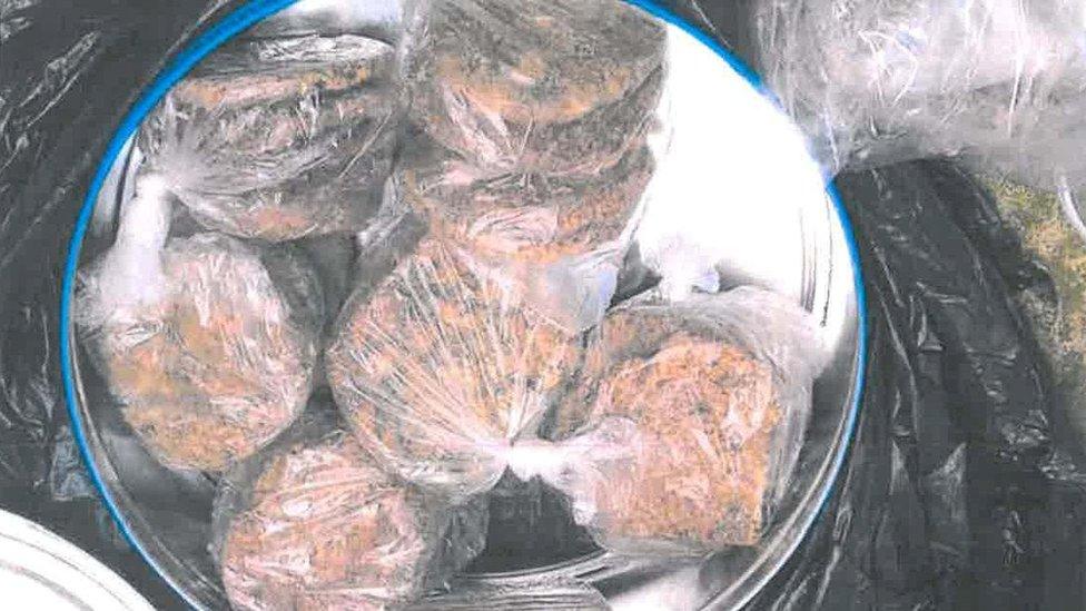 Cleethorpes 'Cookie Lady' Lesley Collins fed children cannabis biscuits ...