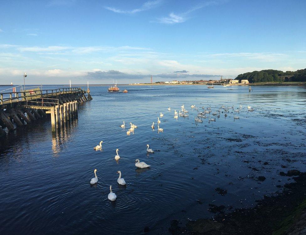 England's Big Picture: 22 - 28 July - BBC News