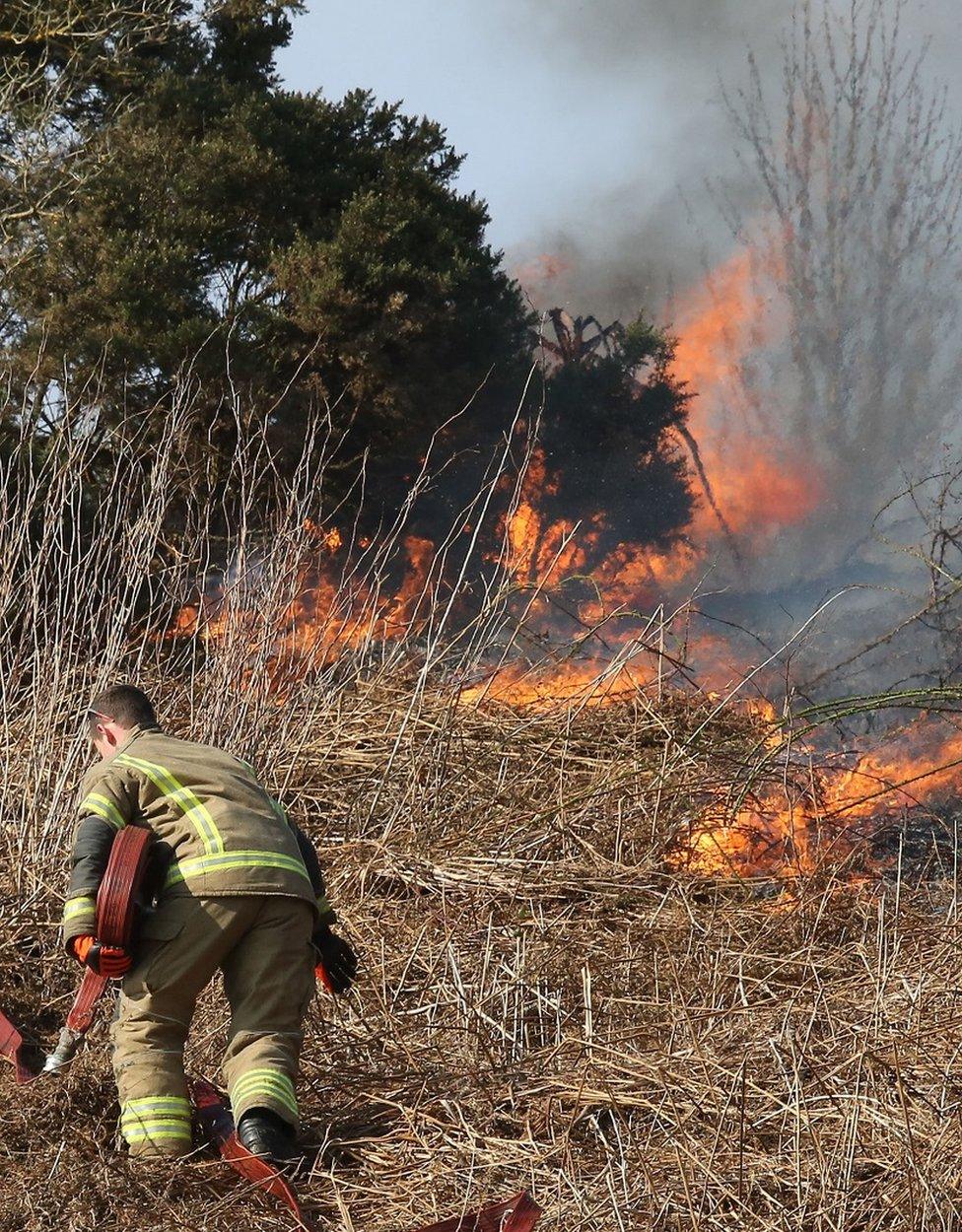Blaze breaks out in Highlands during wildfire warning - BBC News