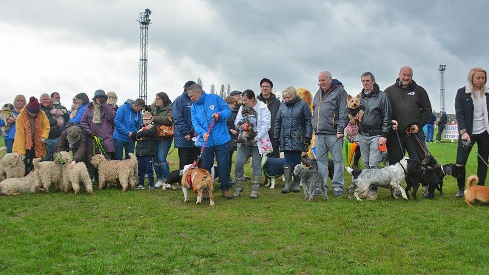 Maltby Main FC claims world record in dog charity event - BBC News