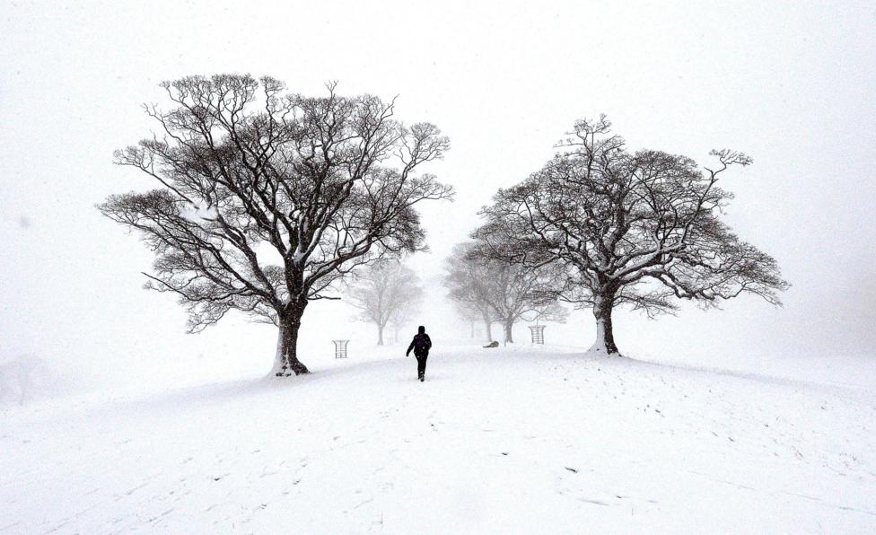 In pictures: Assignments 2016 - BBC News