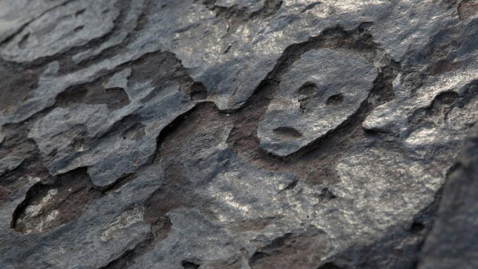 Archaeologists discover prehistoric woodland in peatland 'time capsule ...