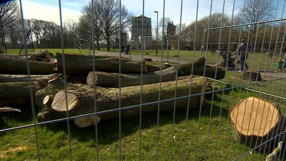 'Devastation' over 50 chopped Leicester Victoria Park trees - BBC News