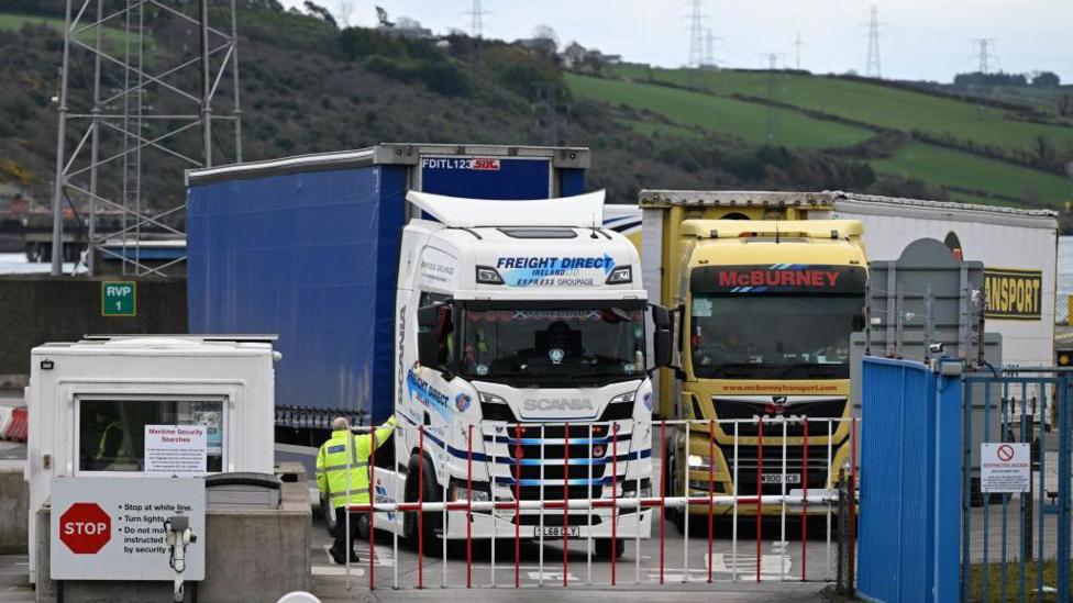 Irish sea border: Could new law tackle issues? - BBC News