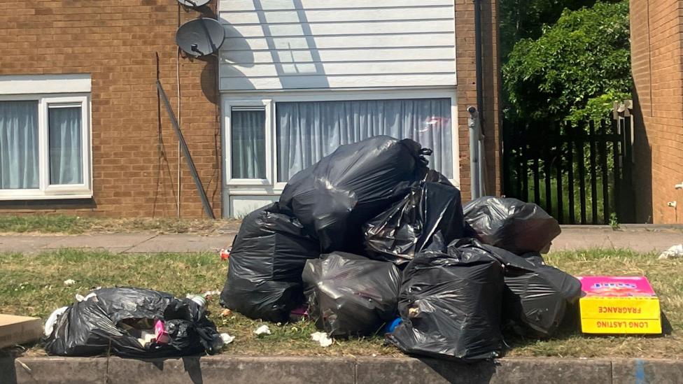 No end in sight for Birmingham bin strike after six months - BBC News