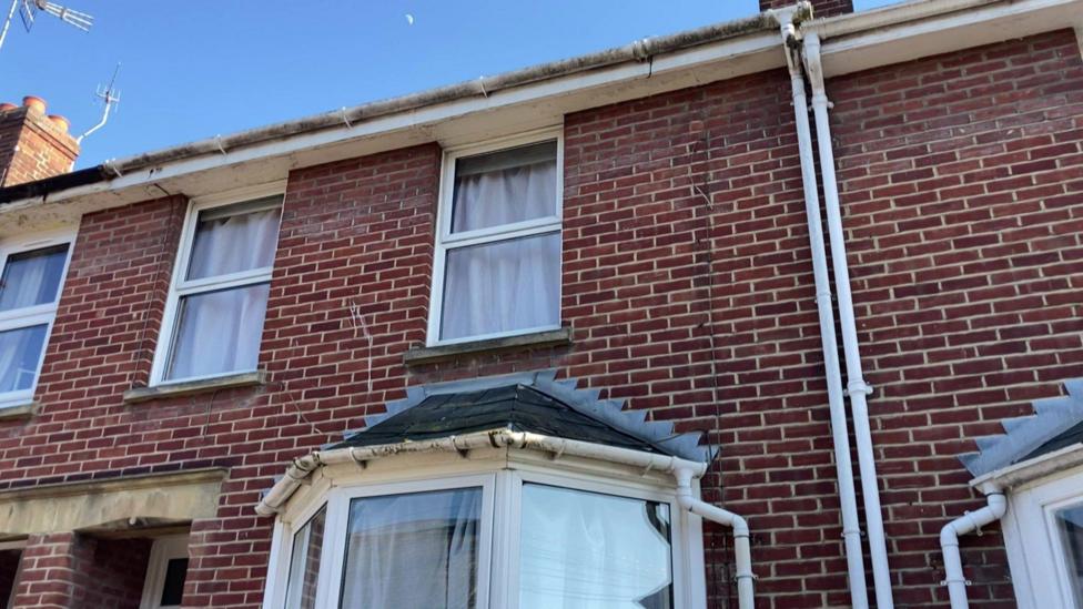 Maureen Rickards: Wife who hid husband's body in garden convicted - BBC ...