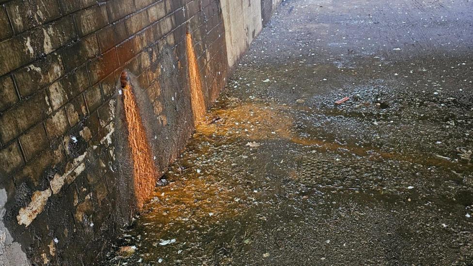 Call for 'health hazard' north London railway bridge clean up - BBC News