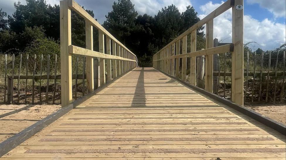 New Holkham boardwalk makes nature reserve accessible to all - BBC News