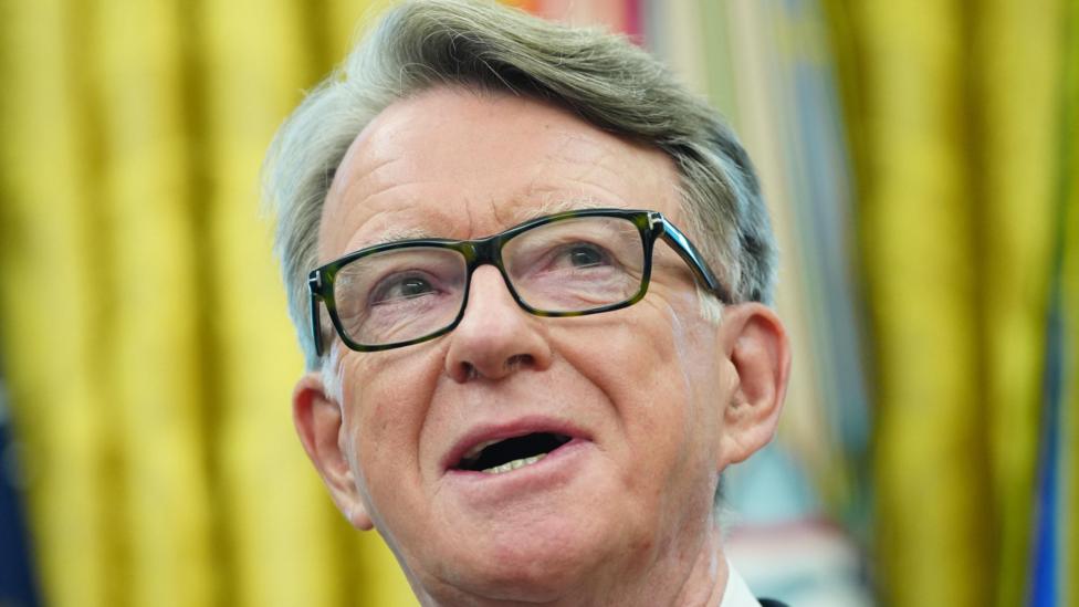 Mandelson should never have been ambassador, says Epstein victim's ...