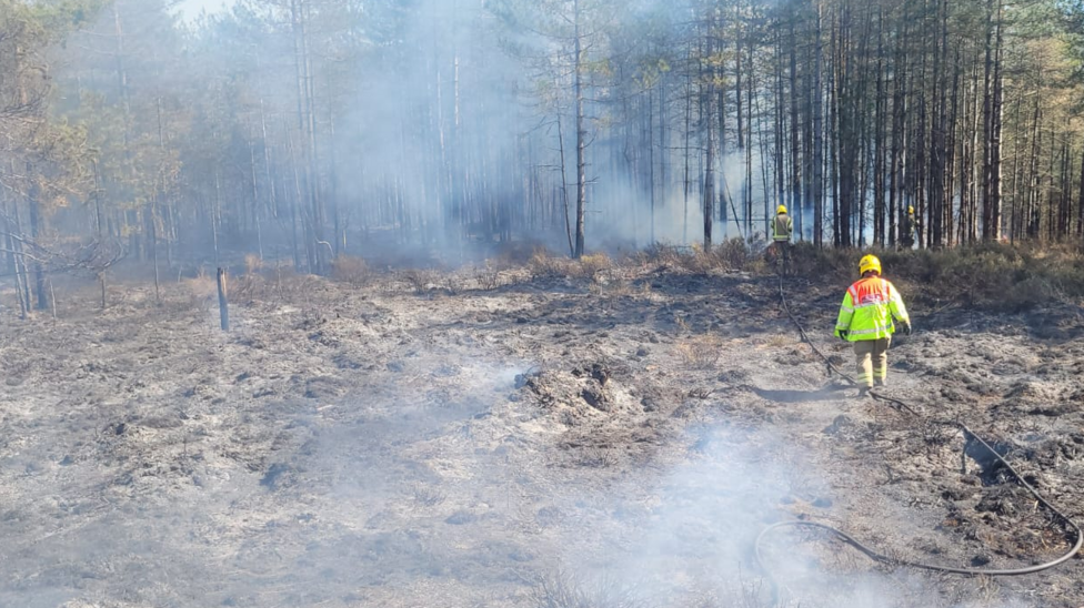 Moors Valley Country Park closed again after second forest fire - BBC News