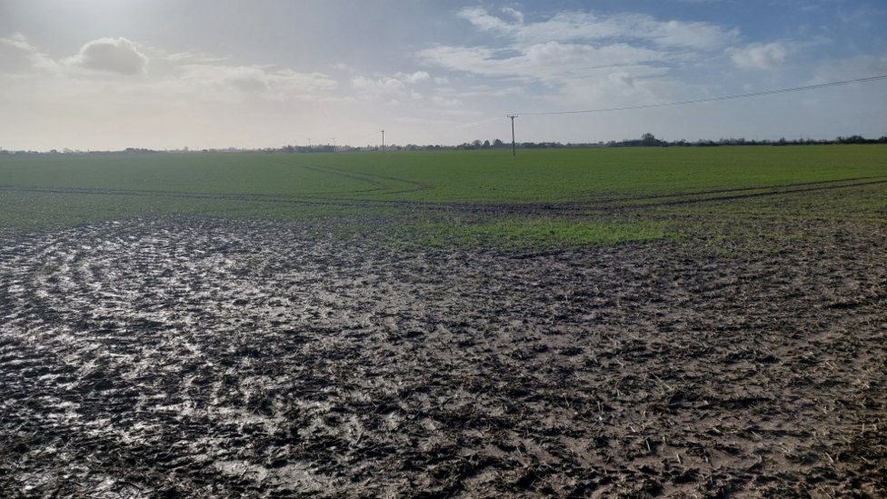 Plans to build controversial Romney Marsh solar farm approved - BBC News
