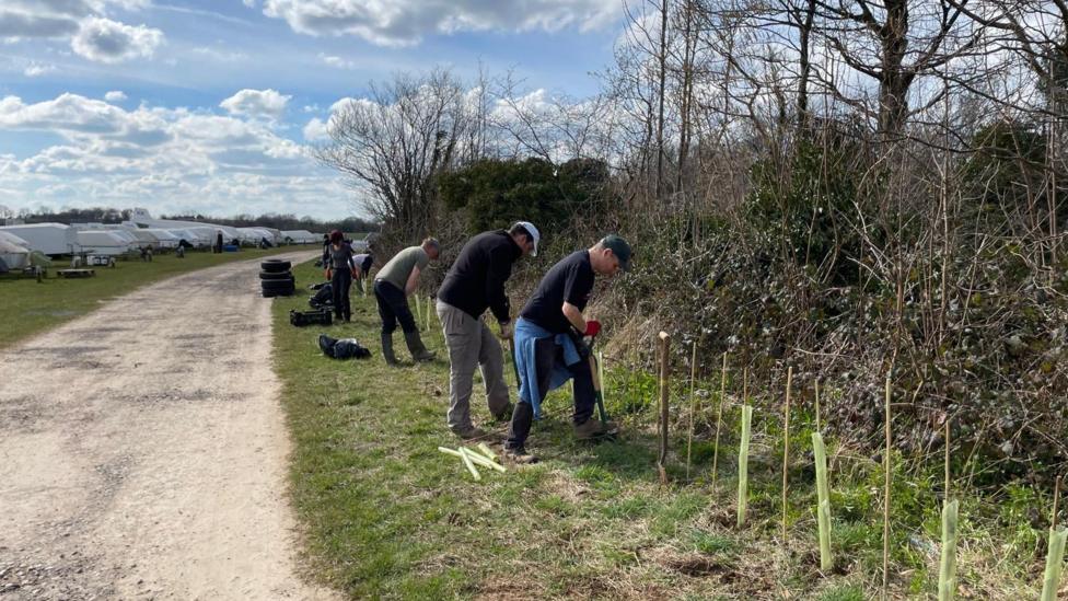 Stroud Valleys Project volunteers beat own planting record - BBC News