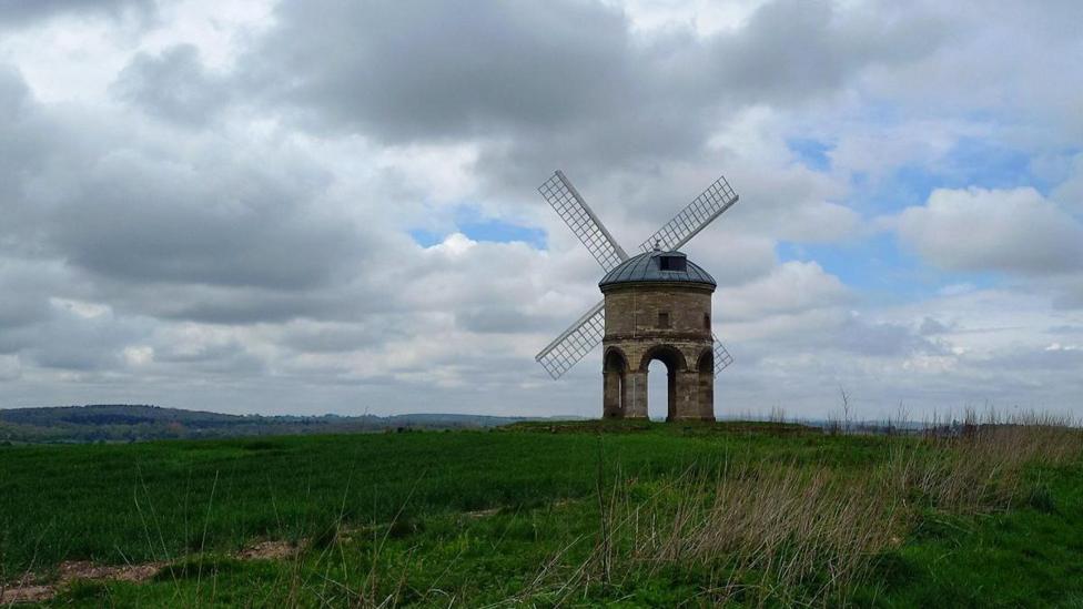 Your West Midlands photos: A duck, pink blossom and a windmill - BBC News