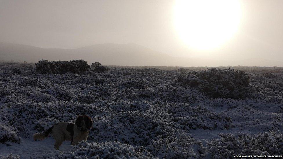 April snow showers - BBC Weather