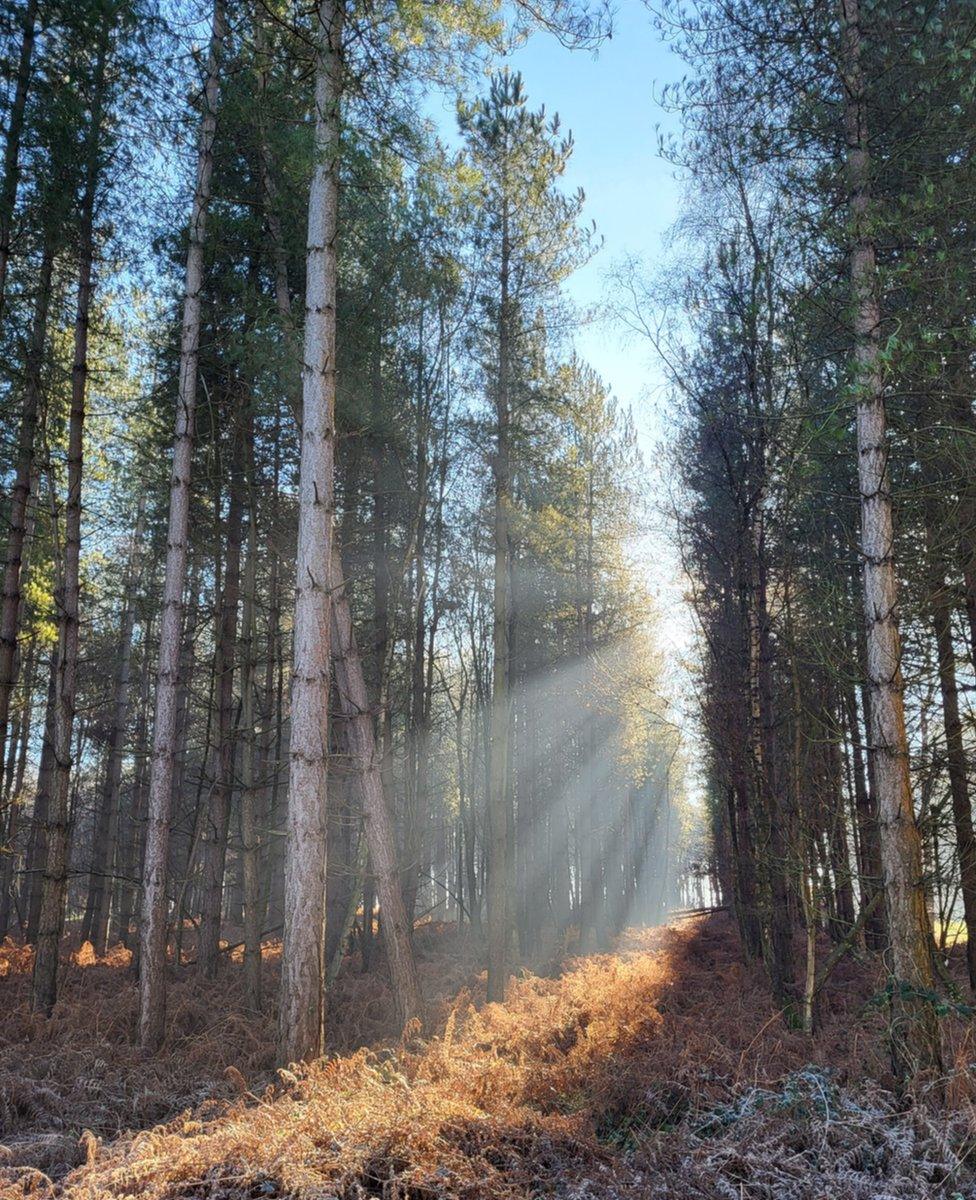 England's Big Picture: 27 February - 5 March 2023 - BBC News