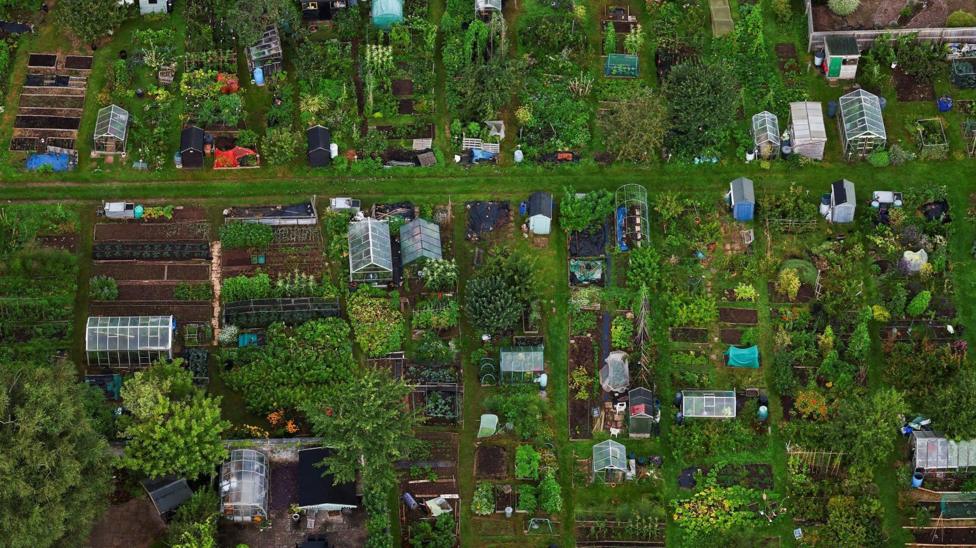 More than 100 new allotment plots planned for Bristol - BBC News