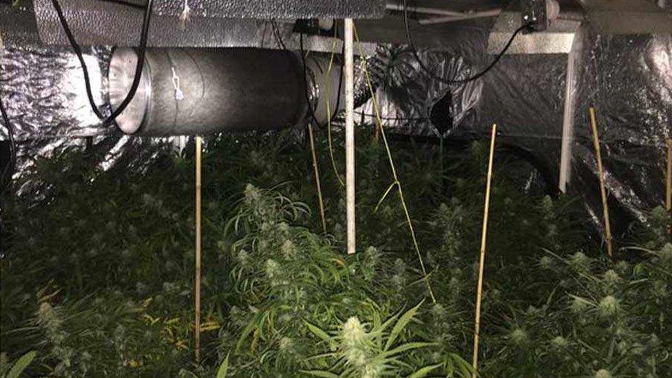 Smethwick flat fire 'caused' by cannabis factory - BBC News