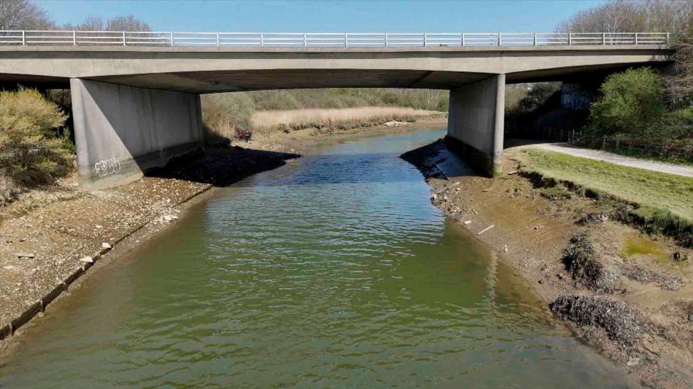 South east rivers hit by pollution as temperatures soar - BBC News