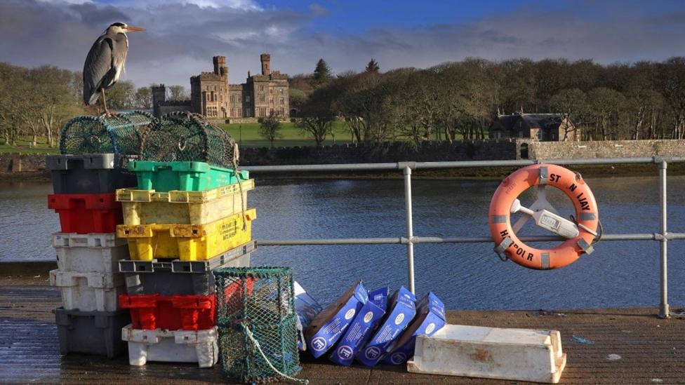 Your pictures of Scotland: 7-14 April - BBC News