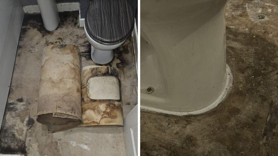 'Putrefying smell' in Wiltshire housing association home - BBC News