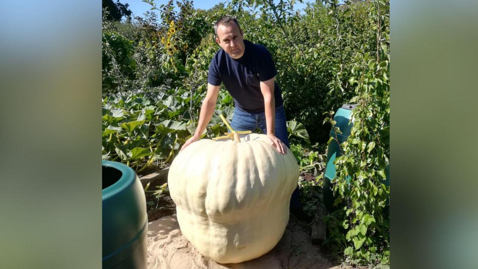 Social media fuels 'unprecedented' pumpkin interest - BBC News