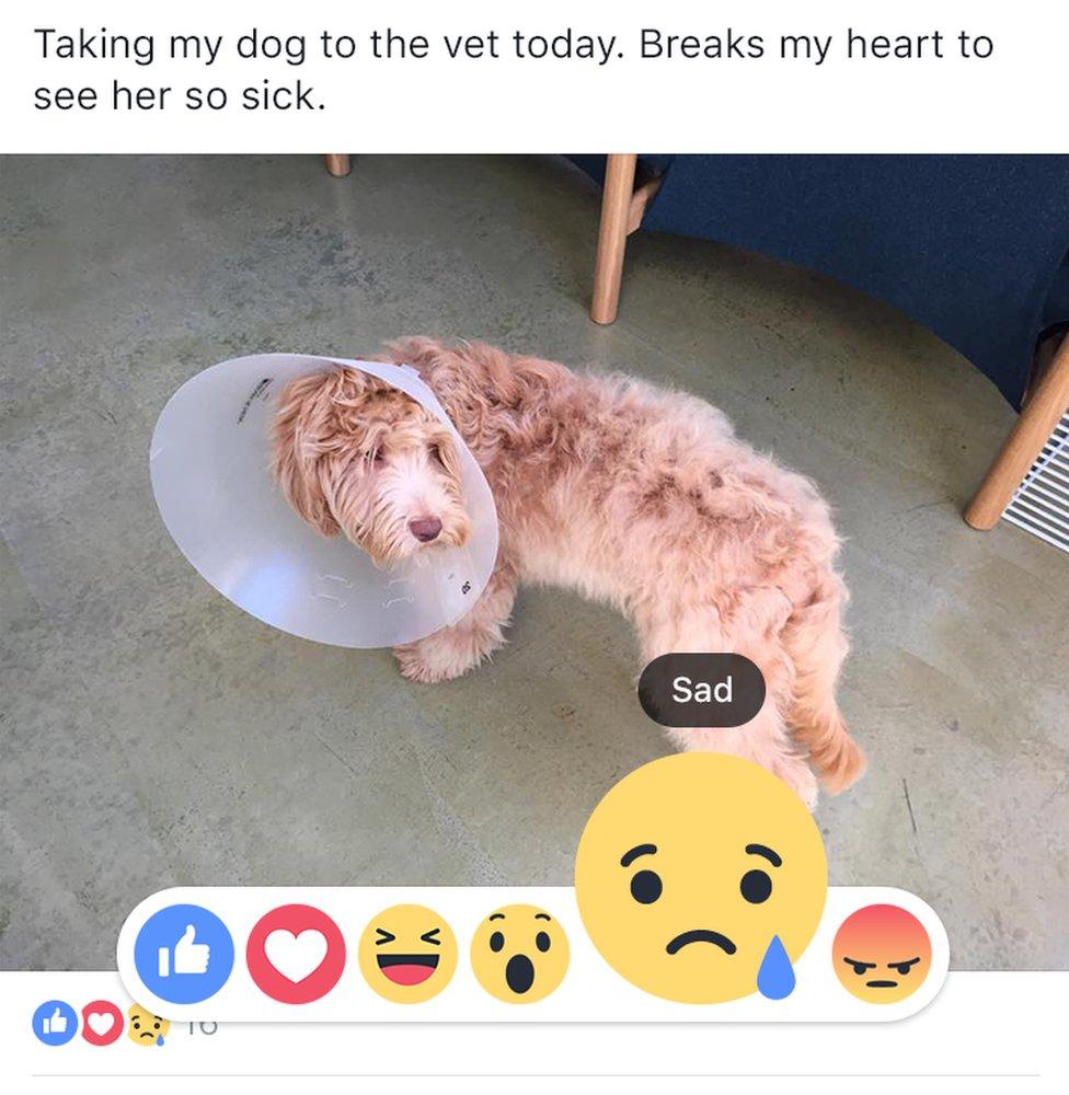 Facebook rolls out five new Reactions buttons including angry, wow and ...