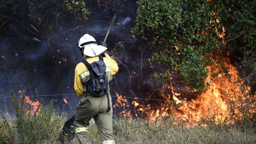 Forest fires spread in northern Spain - BBC News