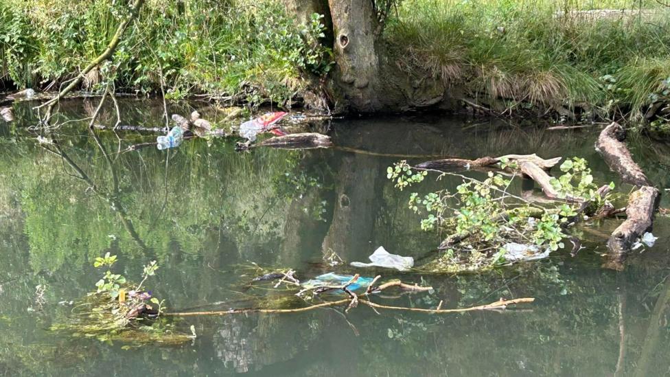 The closed Dovedale stepping stones that still attract crowds - BBC News