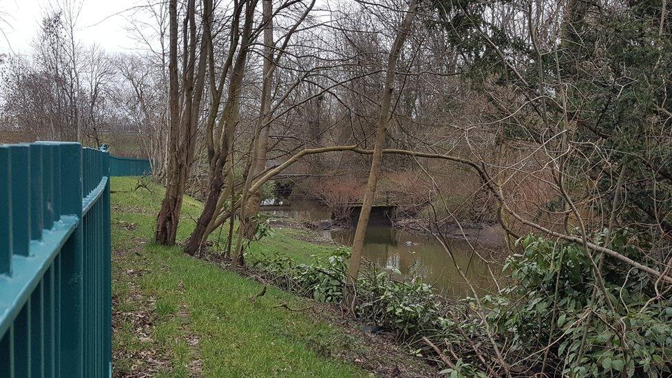 Contamination tests over toxic green burn in Glasgow - BBC News